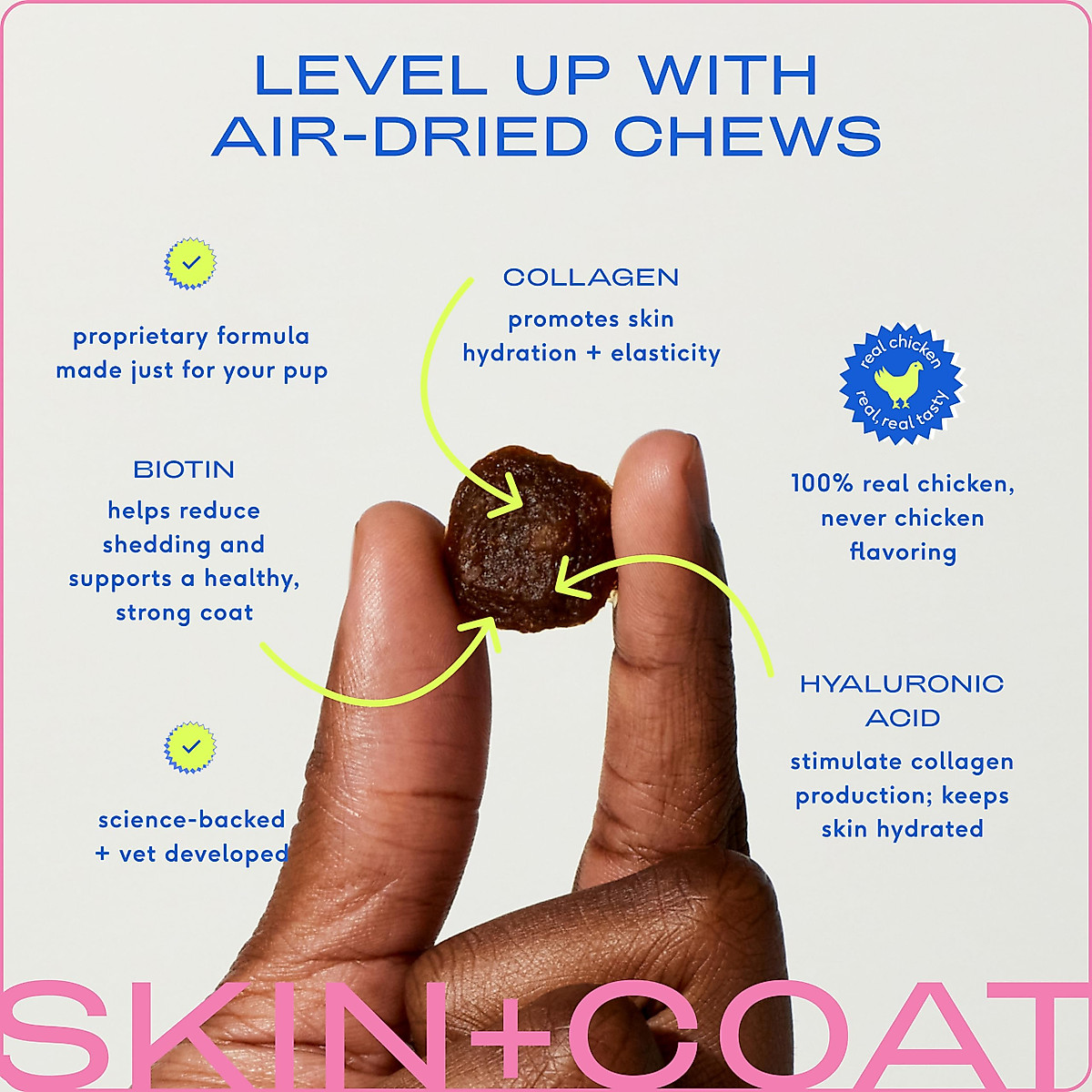 Native Pet Skin and Coat Chews for Dogs - Made with Wild-Caught Salmon Oil for Dogs Skin and Coat - Omega 3 for Dogs - Dog Shedding Supplement for Dog Hair Loss Treatment, Dog Hair Regrowth - 60 Chews