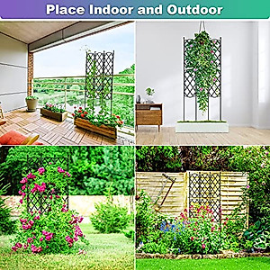 Garden Trellis for Climbing Plants Outdoor, deaunbr Tomato Cage Plant Support Garden Obelisk Trellises Cages for Vines, Flowers, Indoor Potted Plants, Rose, Clematis, Cucumber Pea, Bean, Grape