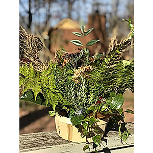 Bert's Garden Shallow Basket, Produce Baskets, Natural Wooden Baskets with 6 inch Saucer to Use as Planter, Make Gift Baskets 2 Pack(7" Shallow Basket)