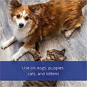 Farnam Flys-Off Insect Repellent for Dogs and Cats 6 Fluid Ounces