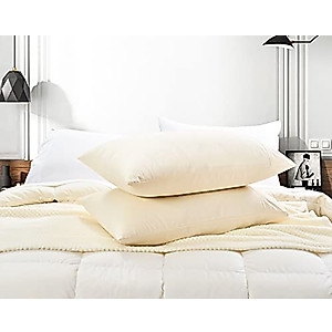 Alexandra's Secret Home Collection Brushed Microfiber Pillowcase Set of 2 - Soft Microfiber Pillow Cases with Envelop Closure (Beige, Standard/Queen)
