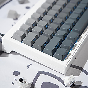 mintcaps Shine Through Keycaps -133keys PBT Doubleshot keycaps Gradient Side Print Cherry Profile Keycap Set for 60% 65% 75% 100% Cherry Gateron MX Switches Mechanical Keyboard