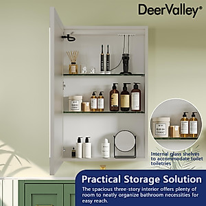 Deer Valley Lighted Medicine Cabinet with Mirror, 24" W x 36" H Led Medicine Cabinet, Bathroom Wall Mounted Modern Mirrored Medicine Cabinets with Storage Organizer
