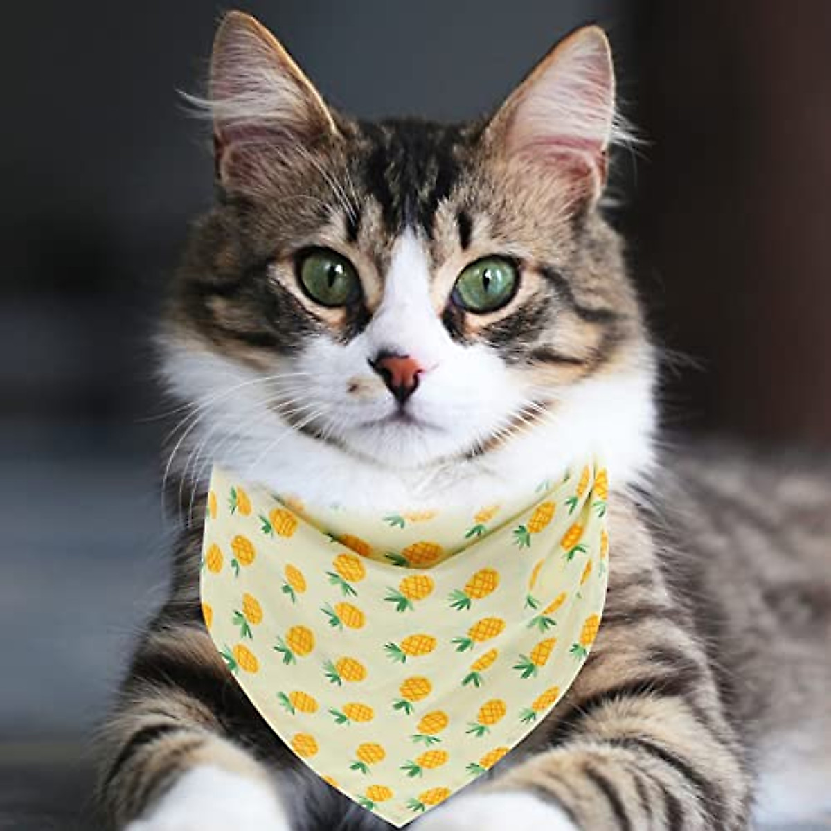POPETPOP 1 Set of Fruit Pet Bandana Triangle Hawaiian Style Cat Kerchief Scarf Puppy Grooming Bowties Hairband Collar Bibs Set Costume Accessories for Dogs Cats