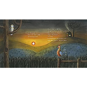 Sun in My Tummy: How the food we eat gives us energy from the sun