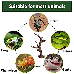 BNOSDM Reptile Grapevine Wood Decoration Resin Climb Tree Branch Decor Grape Wood Branches for Leopard Gecko Lizard Frog Snake Climbing