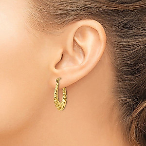 14k Yellow Gold Twisted Hoop Puffed Shrimp Earrings - 25mm x 18mm
