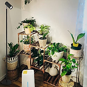 HMVPL Grow Lights Stand for Indoor Plants Full Spectrum Tall Plant Light for Indoor Growing with 20W COB Plant Light Bulb,4/8/12H Timer, Led Growth Floor Lamp for Large Plant Seedling(6 Level Height)