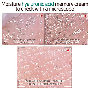 Elizavecca Moisture Hyaluronic Acid Memory Cream 100 g