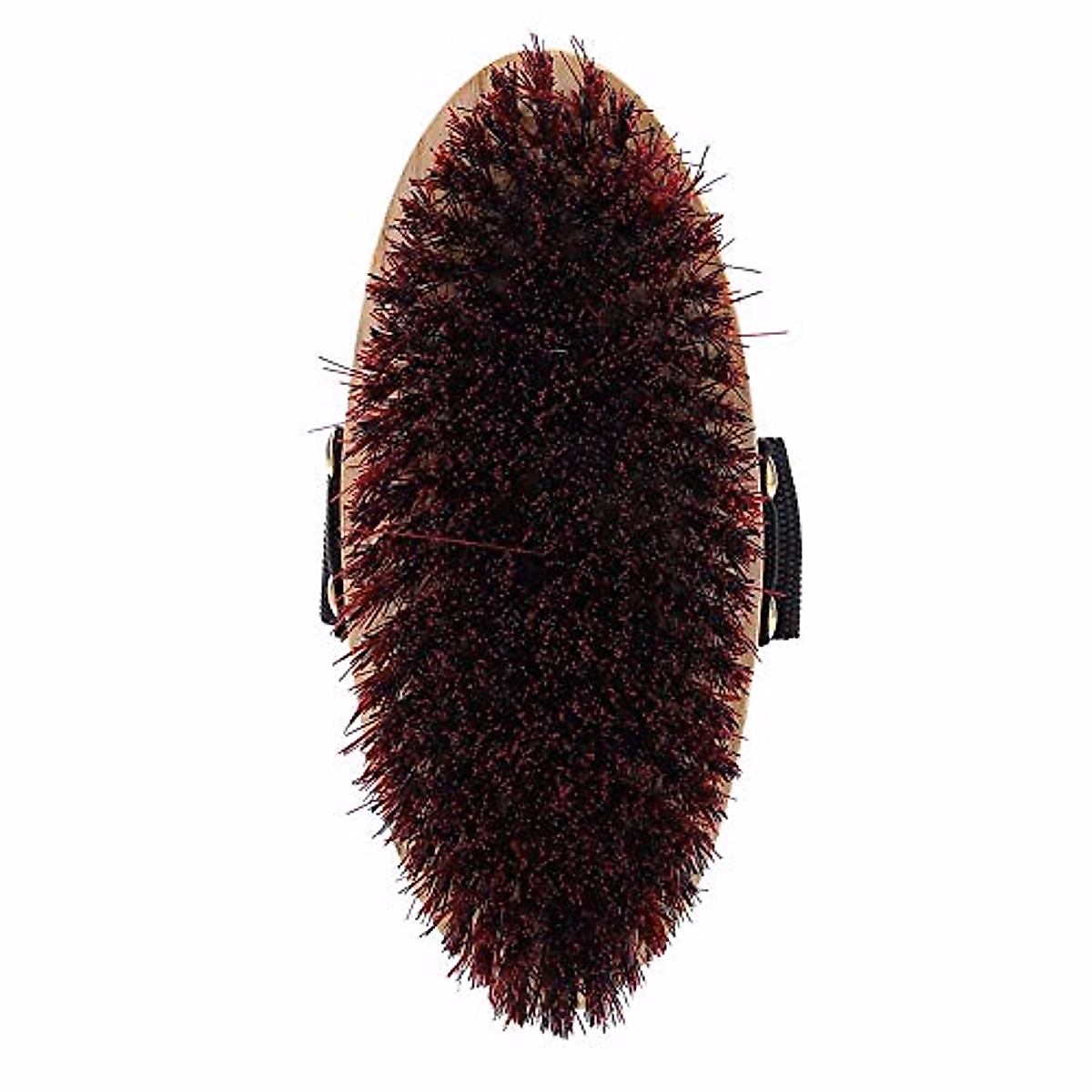 10PCS Horse Grooming Care Kit Professional Horse Cleaning Tool Set Horse Brush Set Horse Grooming Clean Accessories with Brush Curry Comb