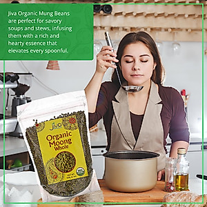Jiva Organic Mung Bean - Mung Moong Beens Whole for Sprouting and Cooking - 2 lb Bean Bag – Indian Spices