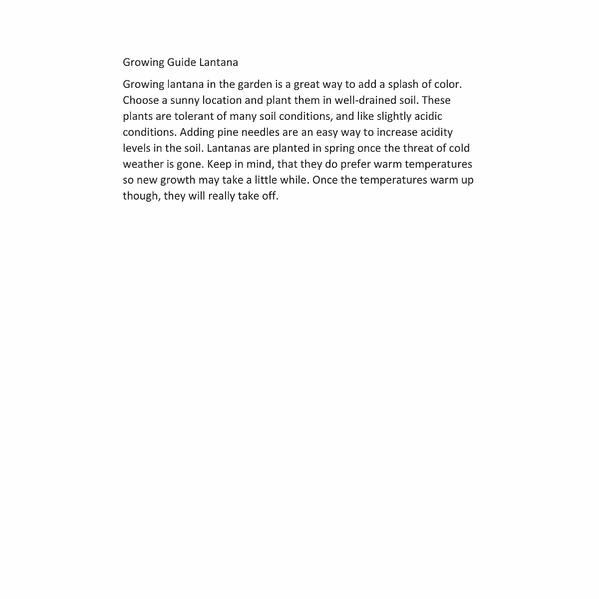 Lantana Camara Flowers - Two (2) Mixed Starter Live Plants - Not Seeds - Natural Mosquito Repellant Garden - Attract Hummingbirds & Butterflies - in 4 inch Pots