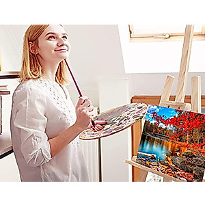 TOCARE DIY Acrylic Paint by Number for Adults On Canvas,Adult Painting by Numbers Kits Home Wall Art Decor,20x16Inch Maple Autumn Park-No Frame