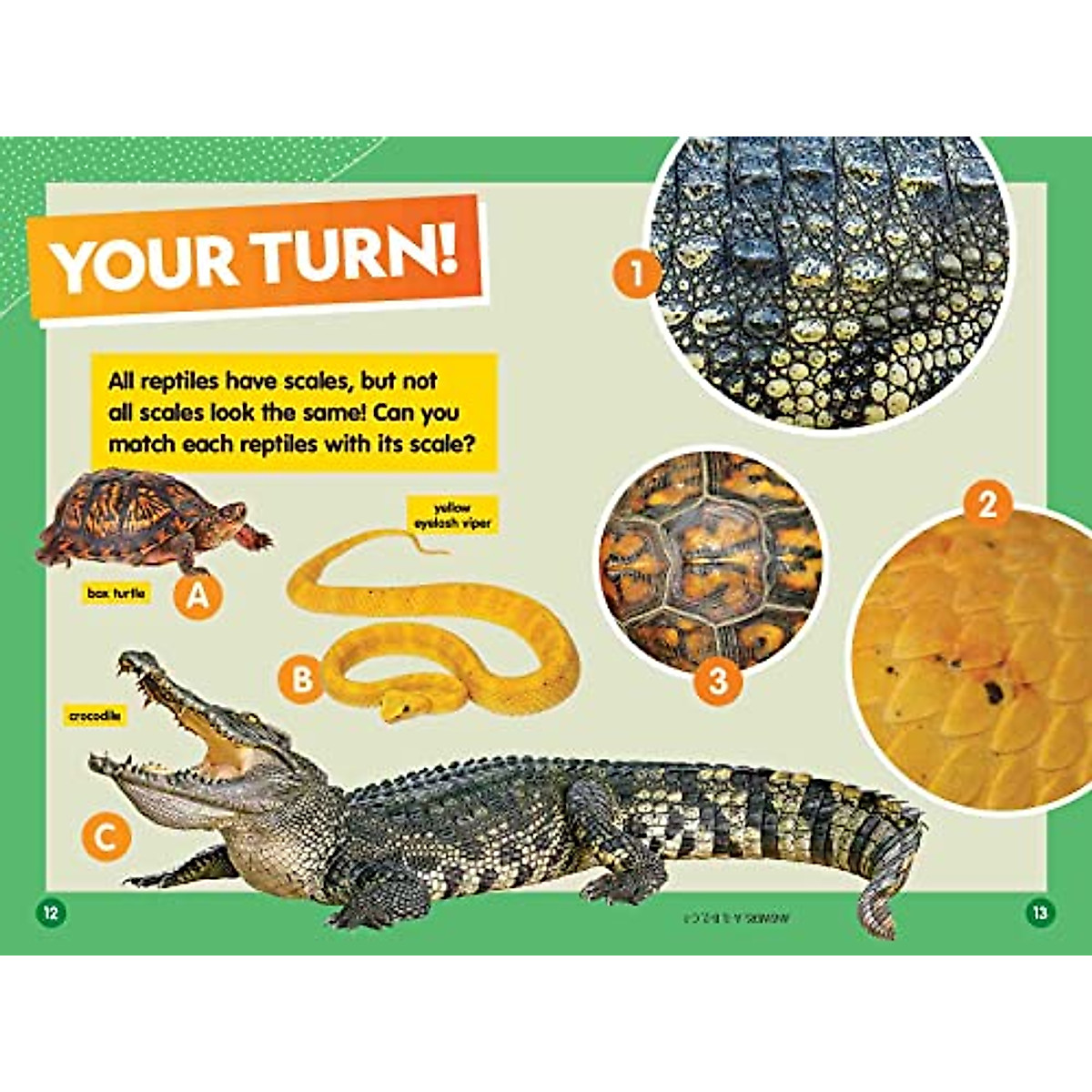 Reptiles (National Geographic Kids Readers, Level 1/Co-Reader)
