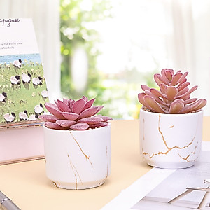 CEWOR 2pcs Succulents Plants Artificial Pink Office Decor for Women, Fake Succulents in Ceramic Pots, Fake Plants for Bathroom Desk Home Decoration Office Supplies