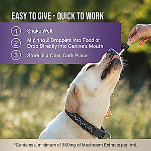 MycoDog Clarity Mushroom Extract & Adaptogen Tincture for Canines - Mushroom & Ashwagandha Supplements for Nervous, Mental, & Emotional Support - Reishi Mushroom, Cordyceps, & Lions Mane Supplement