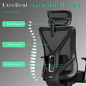 T23 Ergonomic Office Chair,Mesh Computer Desk Chairs with Adjustable Lumbar Support,Headrest,3-D Armrests,Swivel Wheels,Rolling Home Office Desk Chairs for Long Hours (Black)