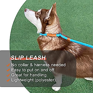 Slip Lead Dog Leash, Reflective Mountain Climbing Rope Leash, Dog Training Leash – 5FT, 2 Sizes (Medium, Turquoise)