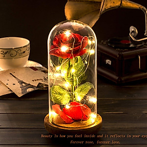 "Beauty and the Beast" Rose Kit, Red Silk Rose and Led Light with Fallen Petals in Glass Dome on Wooden Base for Home Decor Holiday Party Wedding Anniversary
