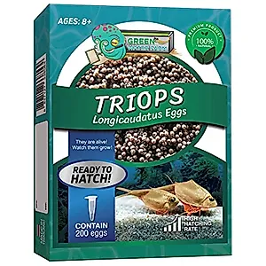 Greenwaterfarm Triops Longicaudatus Eggs for Hatching and Culture Suitable to be Pet and Science Project (Pure 200 Eggs)