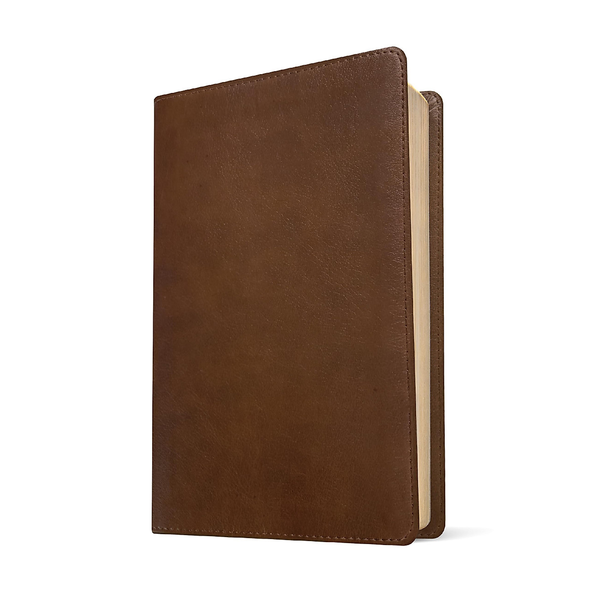 NLT Thinline Reference Bible, Filament Enabled (LeatherLike, Rustic Brown): Includes Free Access to the Filament Bible App Delivering Study Notes, Devotionals, Worship Music, and Video