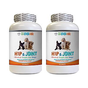 dog joint supplement chews - DOG HIP AND JOINT COMPLEX - VET APPROVED - POWERFUL FORMULA - IMMUNE SUPPORT - INCREASE JOINT MOBILITY - dog glucosamine hip and joint - 2 Bottle (240 Tablets)