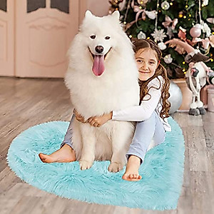 Askfairy Heart-Shaped Plush Rug,for The Indoor Anti-Skid Floor Mat of The Bedside Bedroom, Soft and Comfortable