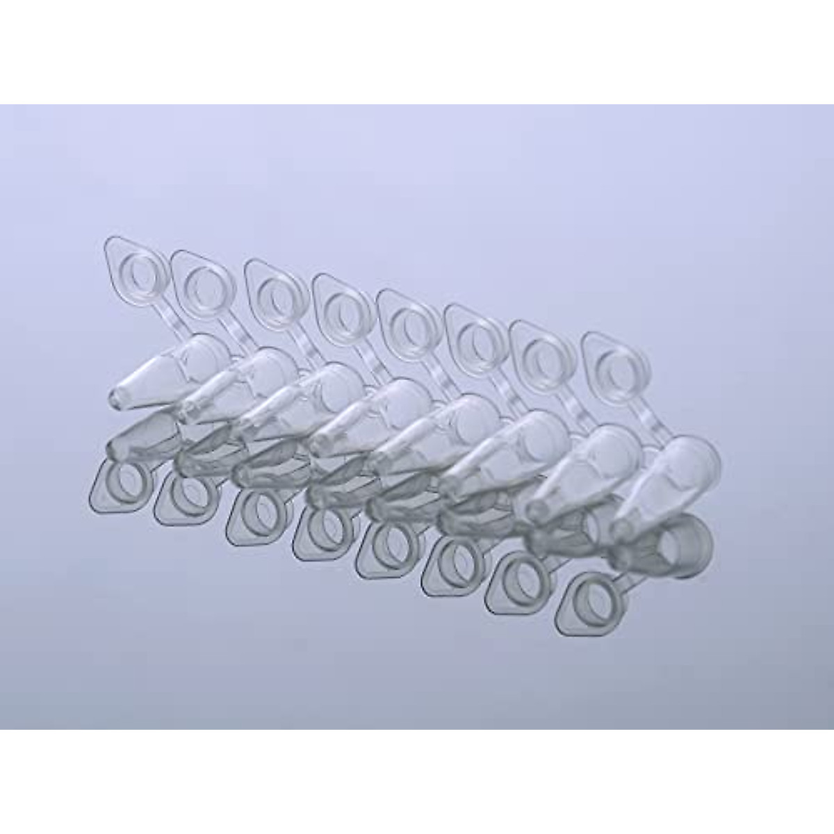 Nest Scientific 404001 Polypropylene PCR 8-Strip Tubes, Individual Attached Flat Caps, 0.2 mL, Clear, 120 per Pack, 1200 per Case (Pack of 1200)