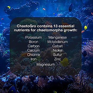 Brightwell Aquatics Chaeto GRO - Multi-Nutrient Supplement for Chaetomorpha Growth in All Marine Aquariums, 500 ML