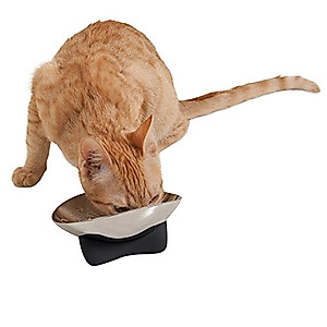 Petmate Jackson Galaxy Nova Stainless Steel Cat Bowl