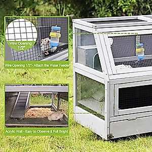 Guinea Pig Cages Anti-Chewing Hamster Cage 2 Story Large Platform Small Animal Cages with Chewing Toy, Food Bowl, Hideout and 2.36”Deeper Plastic Tray