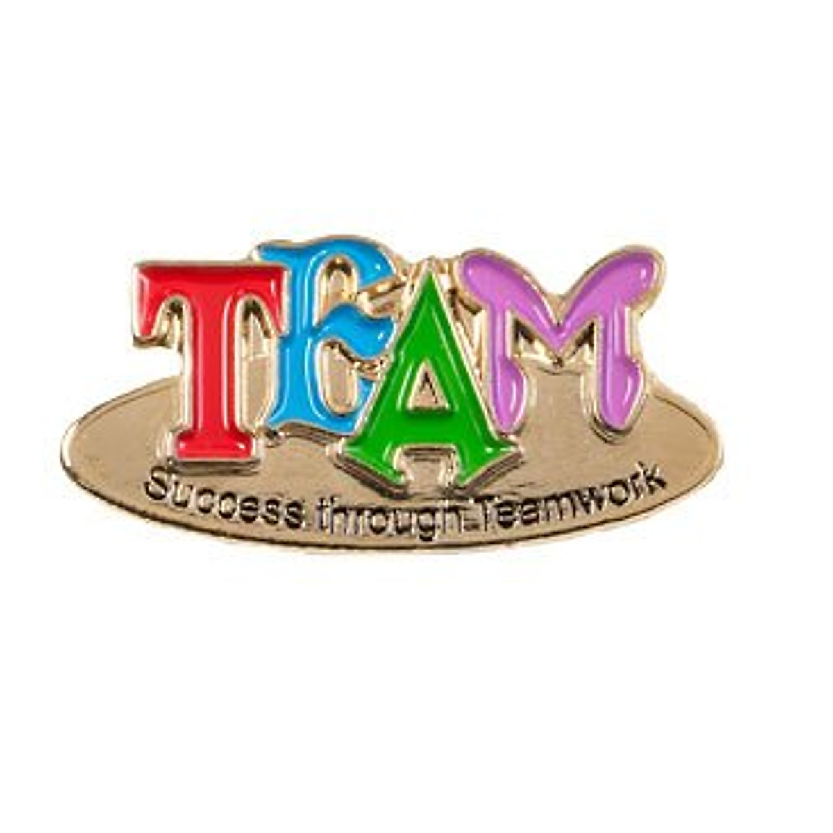 Trainers Warehouse Success Through Teamwork Lapel Pins, Great for Educational and Team Building (10/Set)