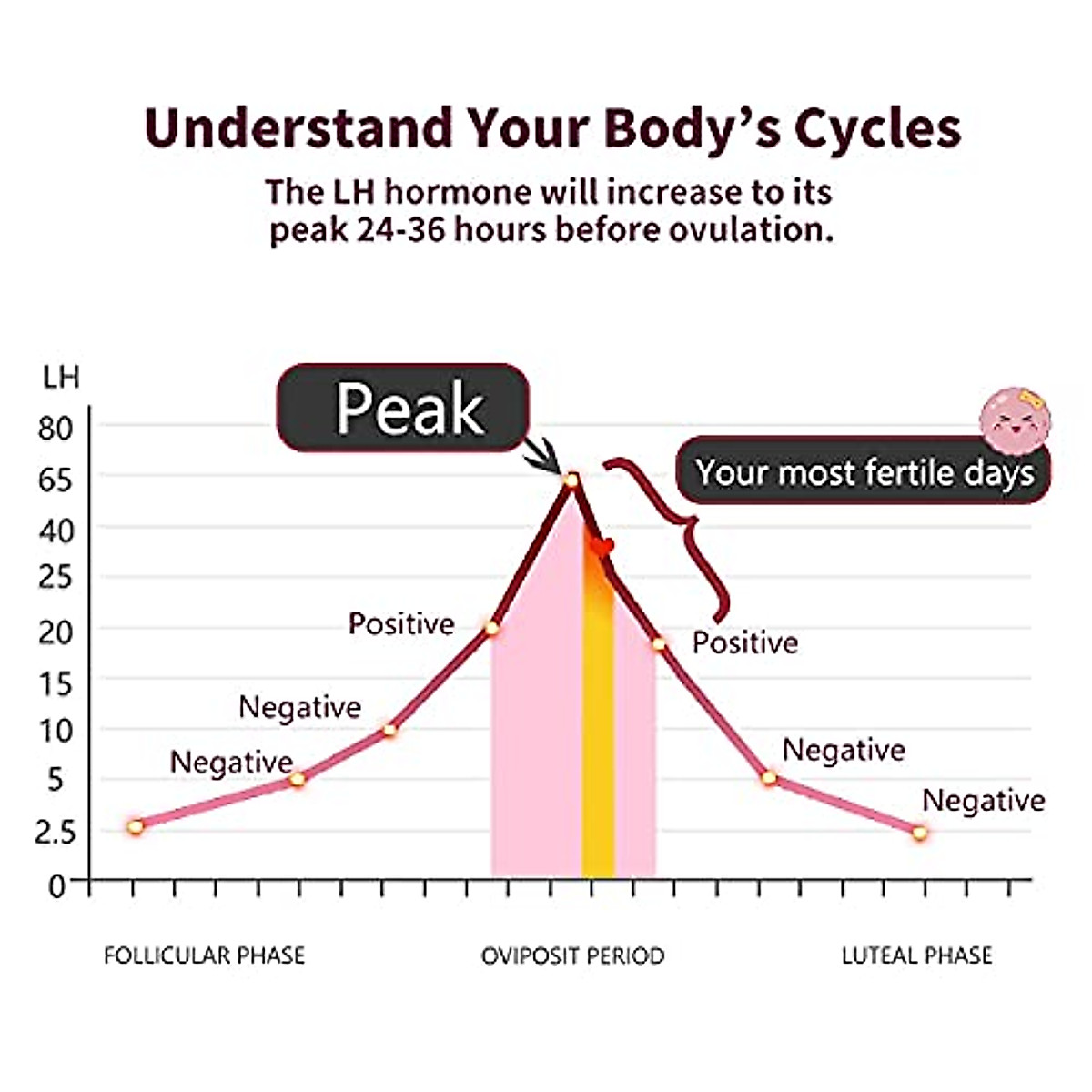 DAVID 50 Ovulation Test Strips, Ovulation Predictor kit, Fertility Test for Women, 50 Free Urine Cup, Fertility Tracker Kit, Accurate Results - 50 Count, LH Test, EXP 10-30-2023