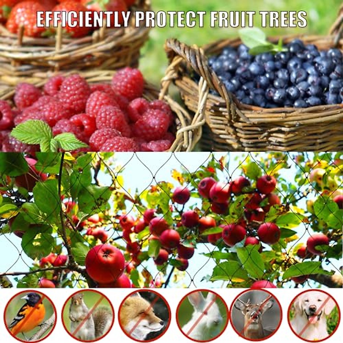 Bird Netting for Chicken Coop - 50x50ft Chicken Netting for Chicken Coop Roof, Poultry Net Coop Netting Cover, Hawk Netting for Chicken Run Fence, 2.4" Mesh Anti Bird Net for Garden Aviary Tree Deers