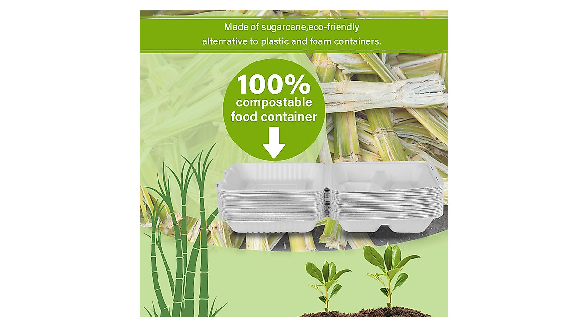 Biodegradable Take Out Containers - Eco-Friendly & Convenient