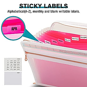 H4D Pink Expandable File Organizer - 13 Pockets for Documents