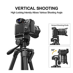 RALENO 60-Inch Tripod for Camera, Photography Video Tripod with Holder & Bag, Compact Lightweight Tripod for iPhone