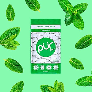 PUR Gum | Aspartame Free Chewing Gum | 100% Xylitol | Natural Spearmint Flavored Gum, 55 Pieces (Pack of 1)