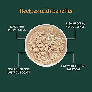 Made by Nacho Wet Cat Food, Grass-Fed, Grain-Finished Minced Beef in Bone Broth for Extra Hydration, (10 Pack)