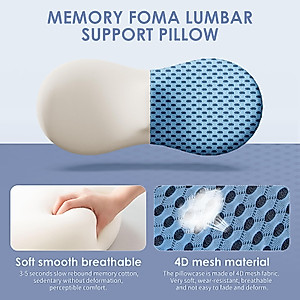 kasney Lumbar Support Pillow Ergonomic Memory Foam, Relieve Back Pain, CMFY Breathable & Detachable & Washable, Perfect for Office Chairs, Car Seats, Beds (Blue)