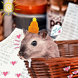 20 Pcs Pet Snake Hat with Adjustable Elastic Chin Strap, Small Reptile Animal Hamster Knitted Hat Pompon Mini Hats for Pets Snake Ball Python Lizard Guinea Pig Chameleon Iguanas Accessories Decoration