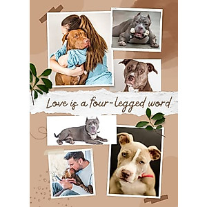 InnoBeta Pitbull Gifts for Pitties Lovers, Pitbull Flannel Blanket Throws for Pitt Dog Mom Dad, 50 x 65 inches, Perfect for Birthday Christmas Thanksgiving Mother's Day