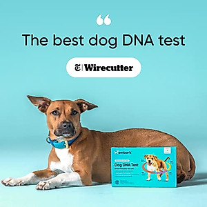 Embark | Dog DNA Test | Breed & Health Kit | Breed Identification & Canine Genetic Health Screening
