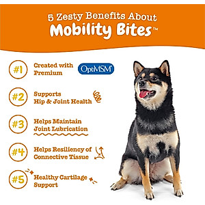 Generic Mobility Bites for Dogs, Hip and Joint, All Ages, Duck, 90 Soft Chews, 12.7 oz (360 g), neutral