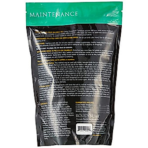 Roudybush Daily Maintenance Bird Food, Small, 22-Ounce