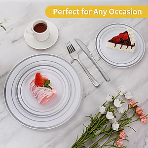 Goodluck 120PCS Silver Plastic Plates, Heavy Duty Disposable Silver Plates with 60 10.25 inch Dinner Plates and 60 7.5 inch Dessert Plates, Disposable Plates for Party, Holiday, Wedding