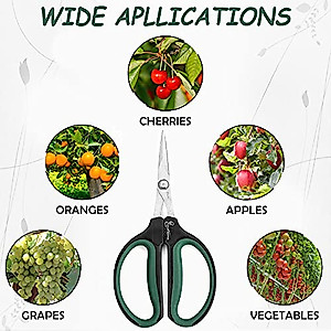 Hydroponic 60mm/40mm 2 pack Bonsai micro tip pruning shears (Stainless Steel) by Yieldcropper