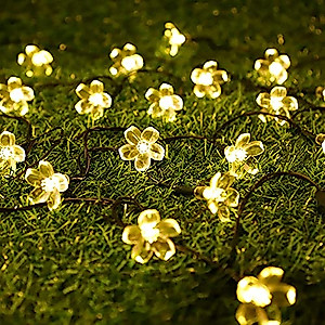 Solar Light String, Outdoor Waterproof Light String Garden Christmas Decoration Lights39feet 100 LED Solar Cherry Peach Flower String Light, Suitable for Home, Garden, Terrace, Wedding and Party(Warm