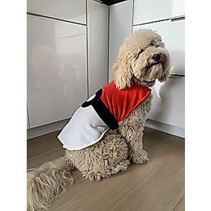 ComfyCamper Red and White Dog Costume - X Large Medium Small French Lab Retriever Pet Cosplay Halloween Costumes Ball (Medium, Cape)