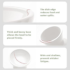 CEEFU 2 Extra Wide Raised Cat Food Bowl, Elevated Anti-Vomiting Cat Feeder Whisker Stress-Free Dog Two Bowls Ceramic Cat Feeding Bowls White